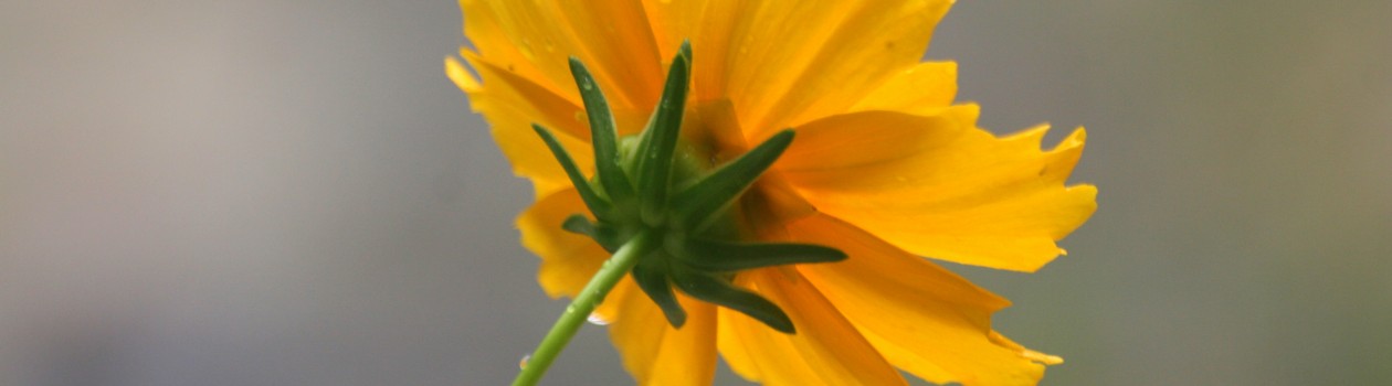 Specialists Help Take Care Of Keepsakes And Artwork: Top Quality ...